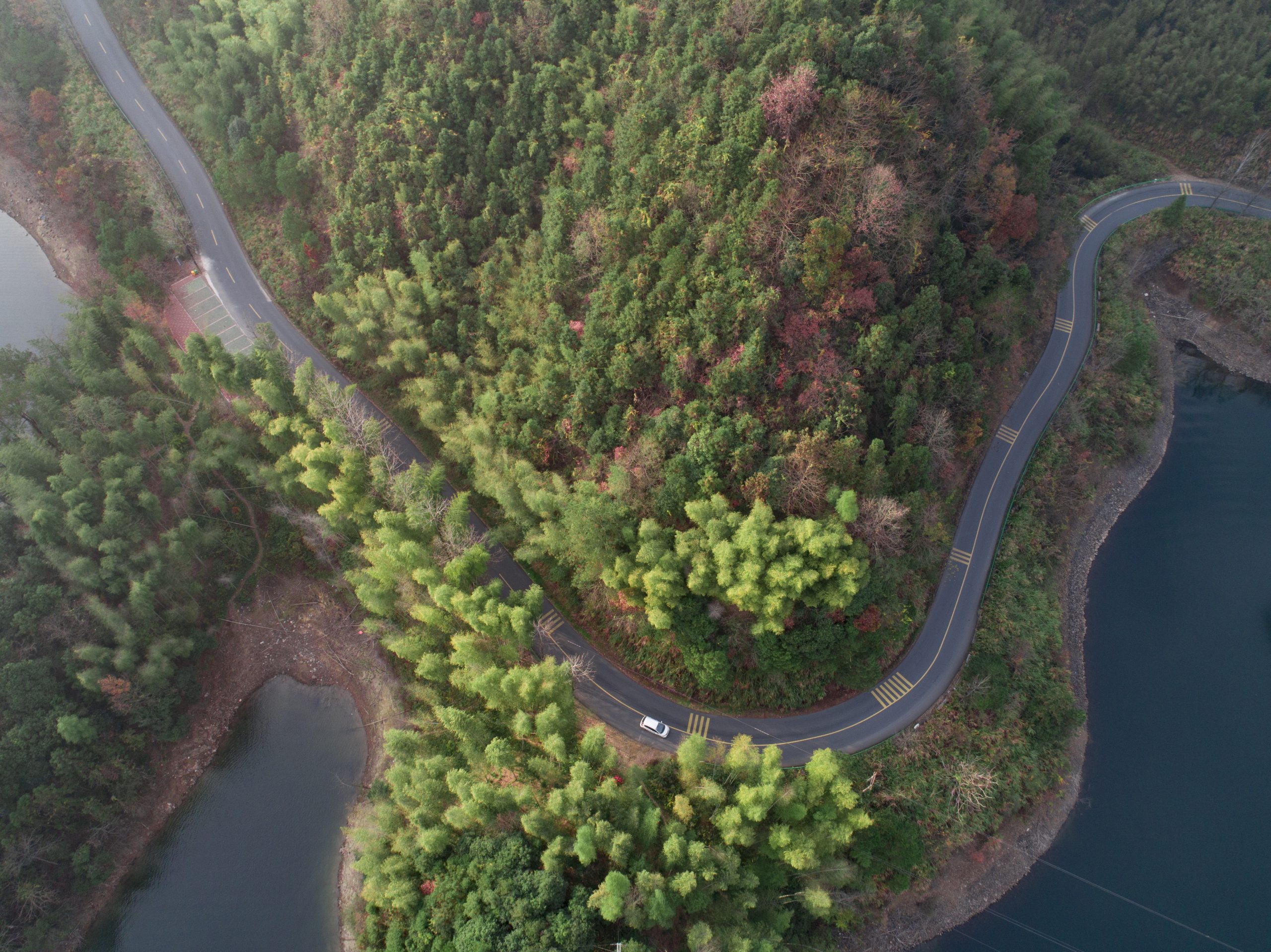 History - New Development Bank