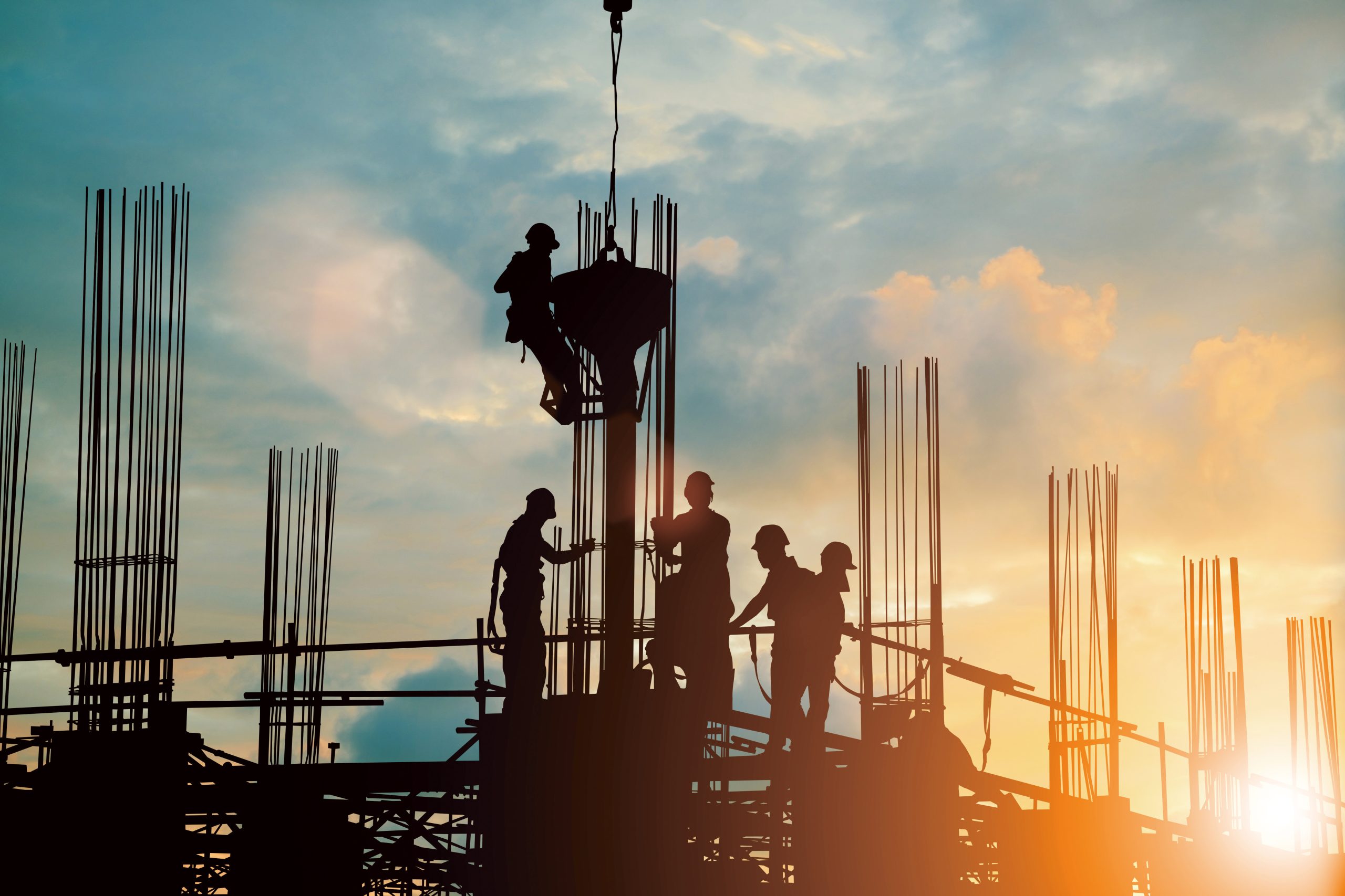 Organisational Structure - New Development Bank